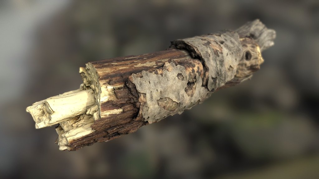 Wood Stick 08 - Download Free 3D model by 3dhdscan [f3214bf] - Sketchfab