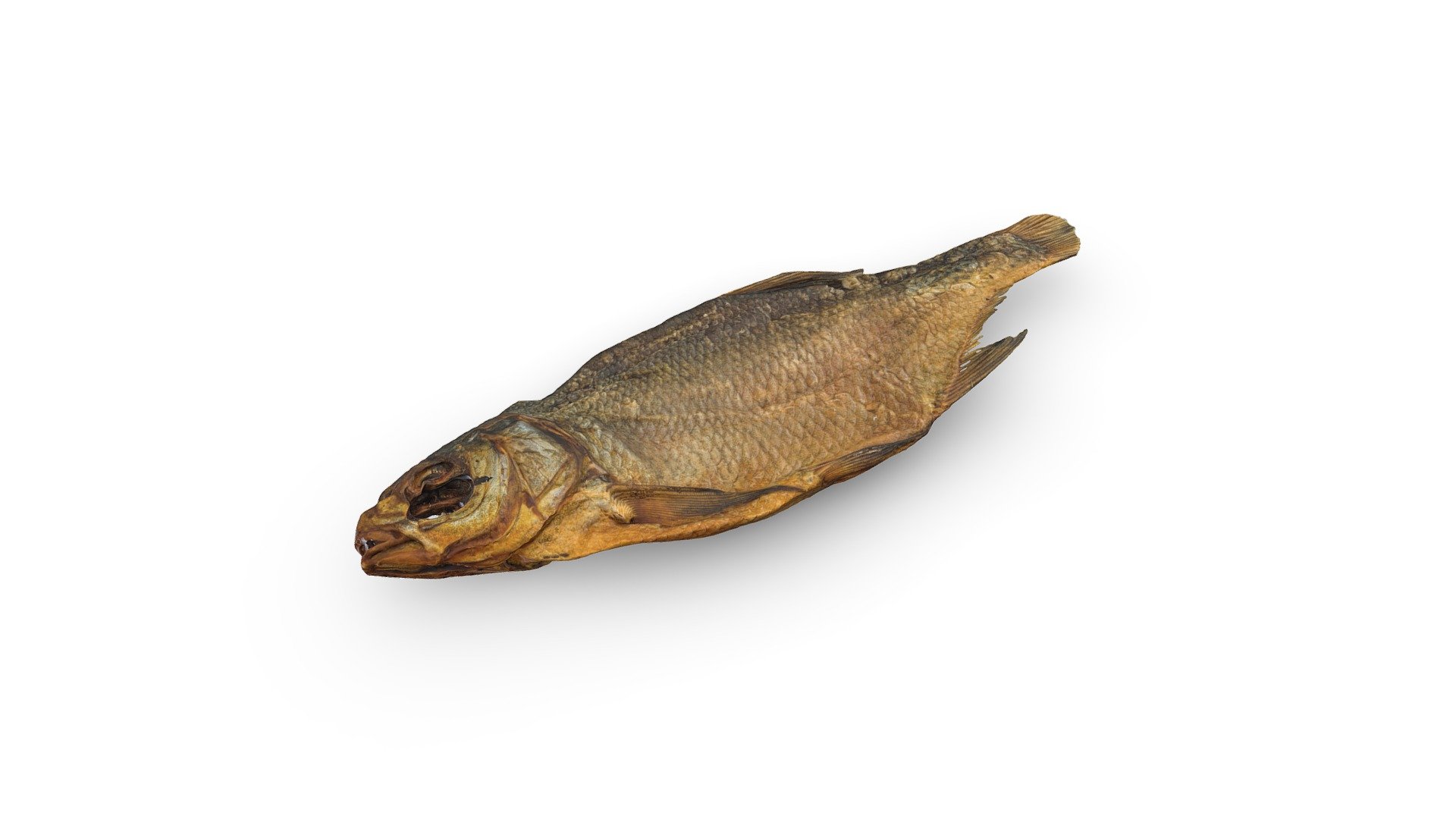 Dried Fish - 3D model by RawCatalog.com (@rawcatalog) [f32579c] - Sketchfab
