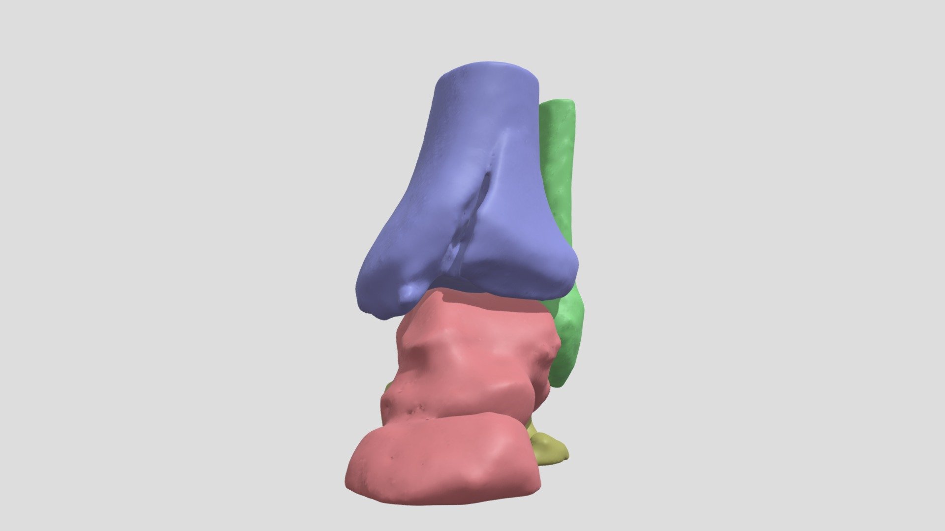 fotled-dae-4 - 3D model by medicinskbild [f3283dd] - Sketchfab