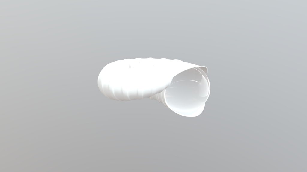Bilal Shell Updated - Download Free 3D model by amb93 [f3293c5] - Sketchfab