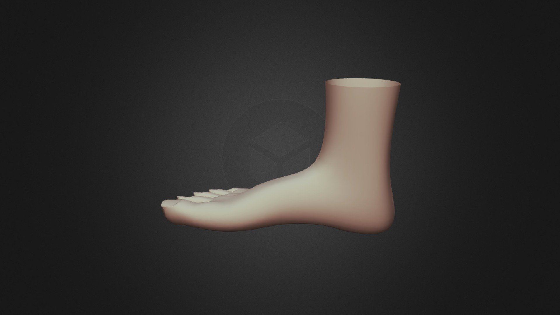 Leg - 3D model by adlanzafran [f32a7e9] - Sketchfab