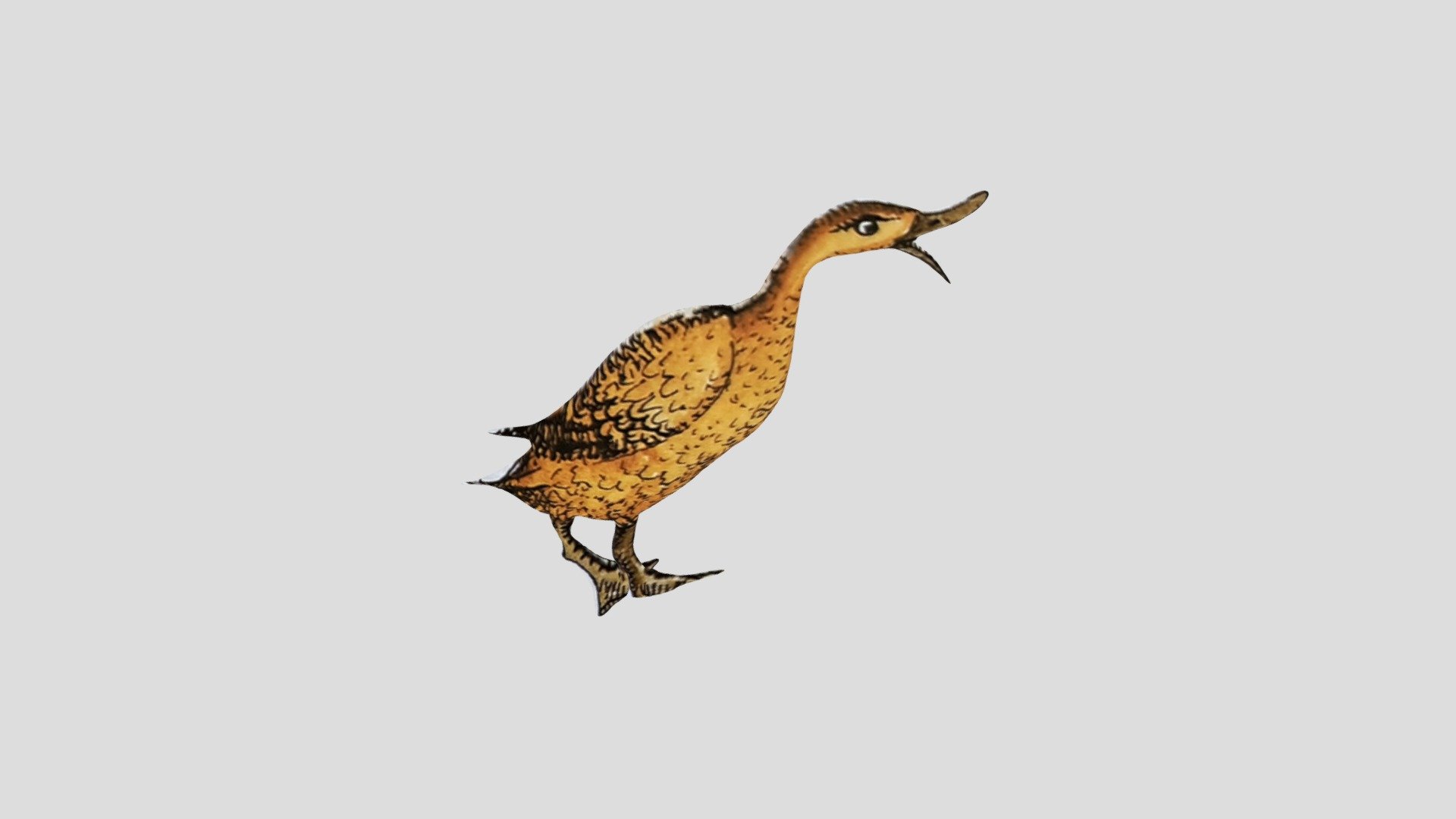 Mother Duck Looking forward png - Download Free 3D model by ...