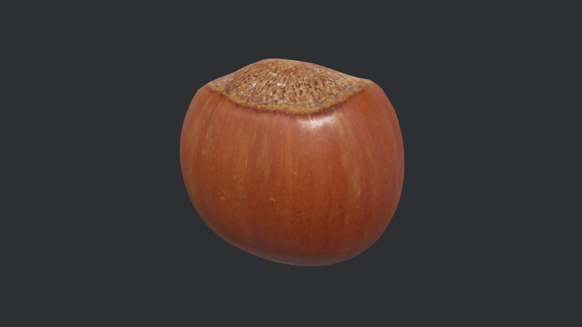 Hazelnut Unshelled 2 - Buy Royalty Free 3D model by James West ...