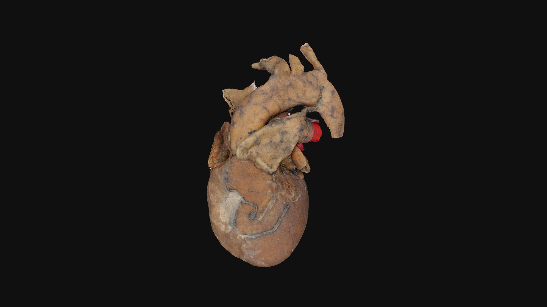 Corazón Cerrado - 3D model by tomasyunge [f33beac] - Sketchfab