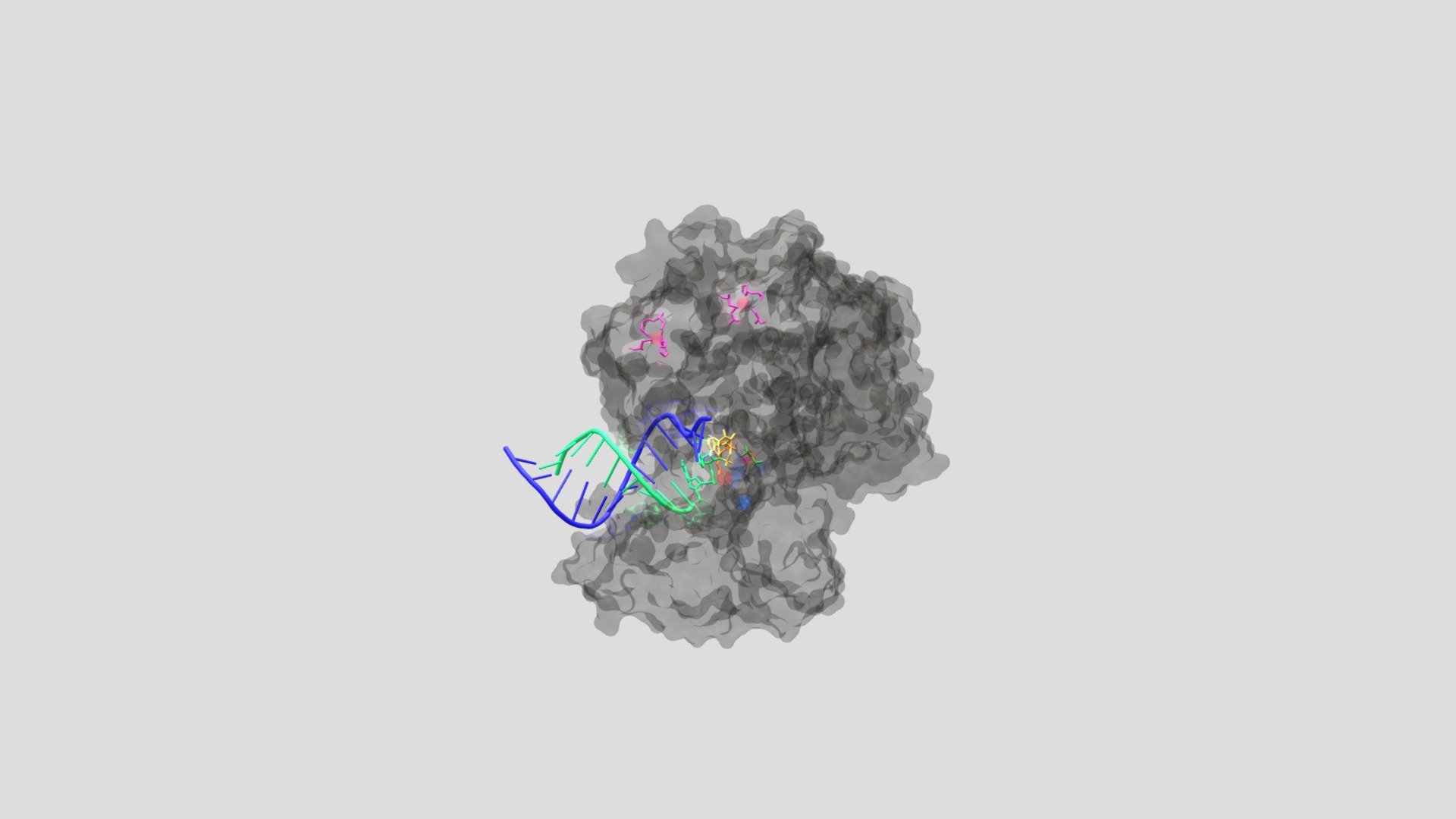 RNA-dependent RNA polymerase and Remdesivir - 3D model by abbymartin ...
