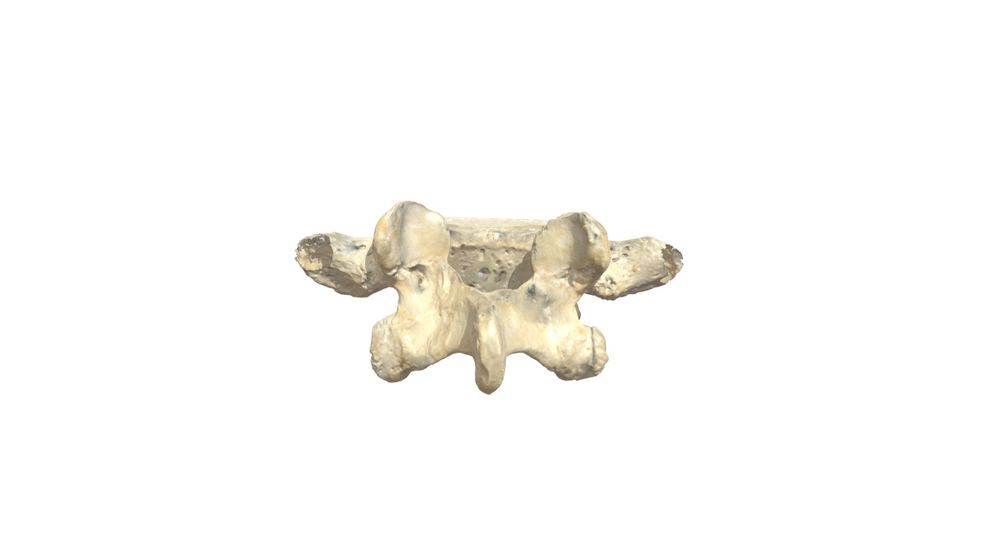L5 - met annotaties - 3D model by Universiteit Antwerpen (@marjanmaldoy ...