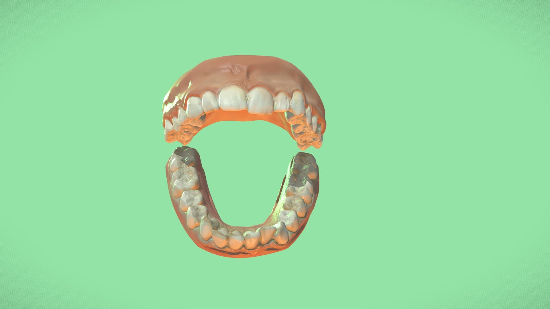Human Teeth - 3D model by annablair_ [f33de29] - Sketchfab
