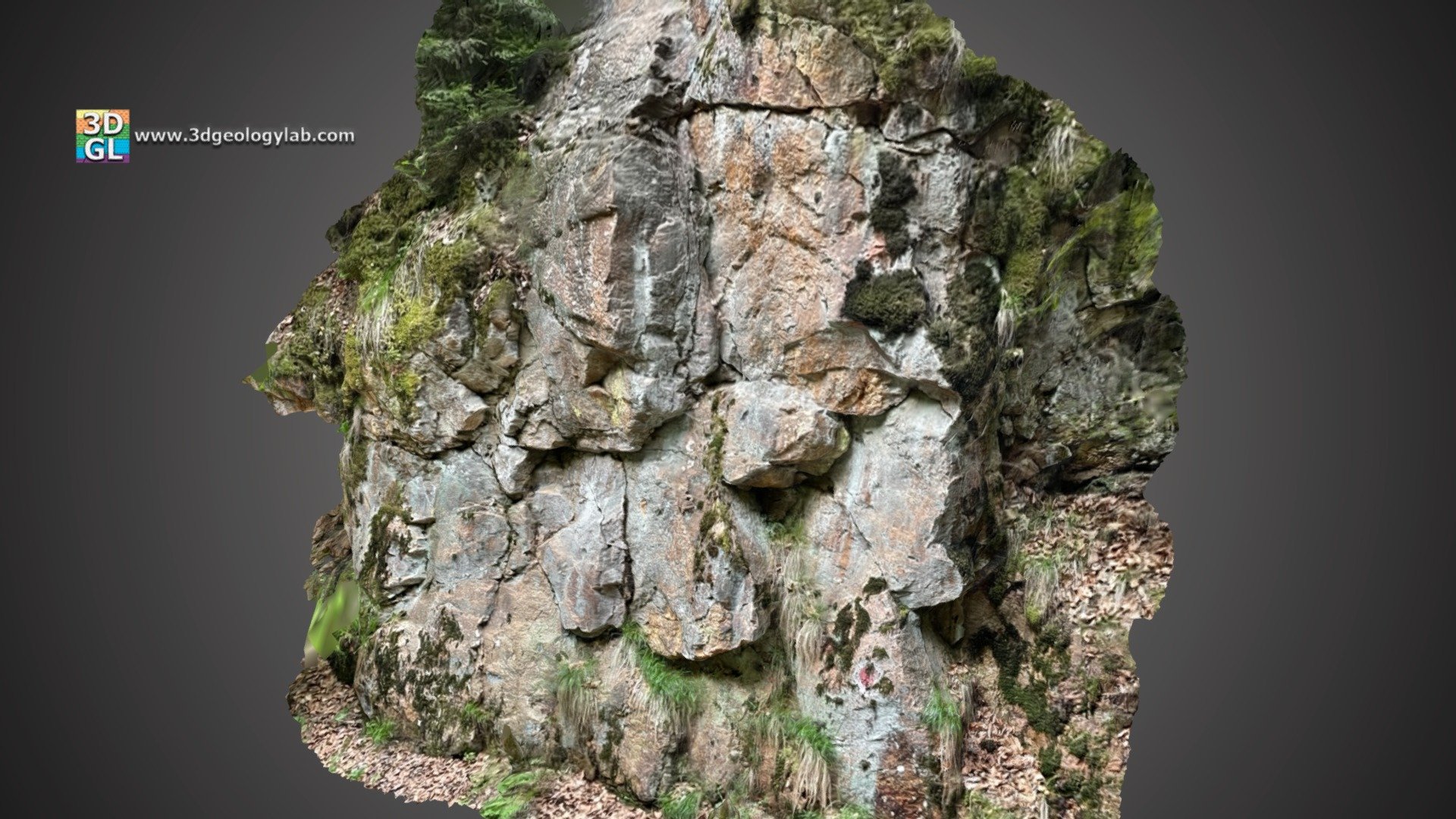 Outcrop (GuIo-1B) - 3D model by 3D Geology Laboratory (@3DGeologyLab ...