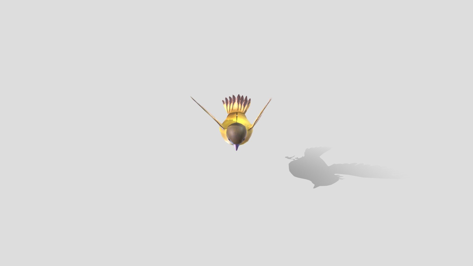 bird_fly - 3D model by kawa124 [f34c37a] - Sketchfab