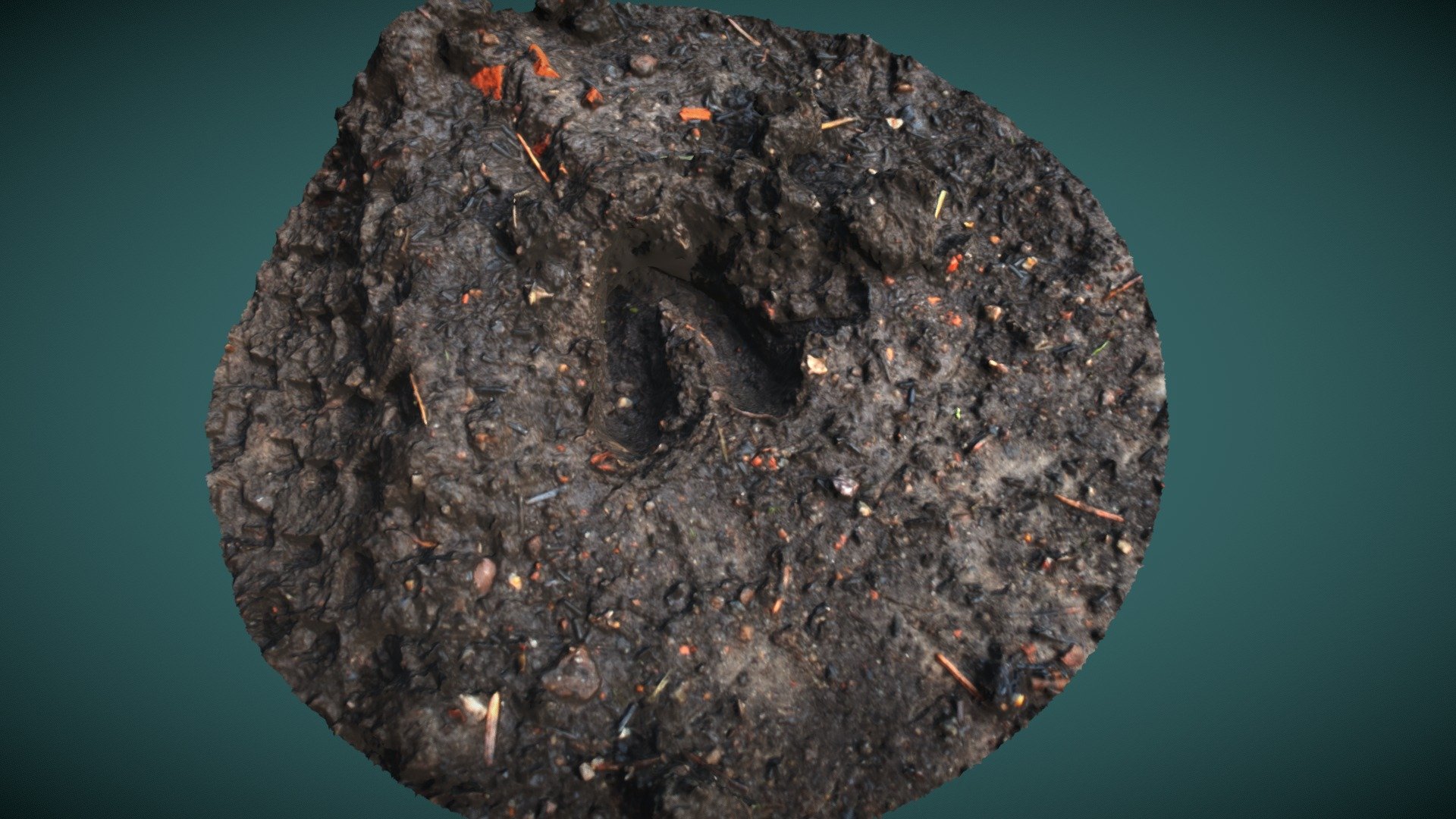 Hoof Print - 3D model by gspeed0689 [f35090f] - Sketchfab