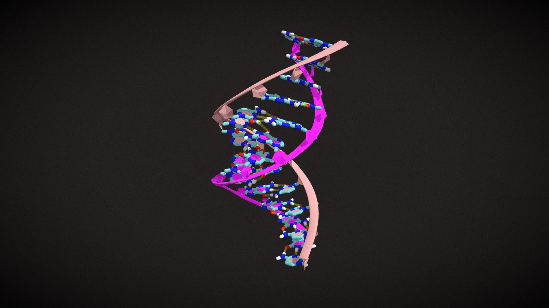 A-DNA ribbon (backbone) + sticks (bases) - Download Free 3D model by ...