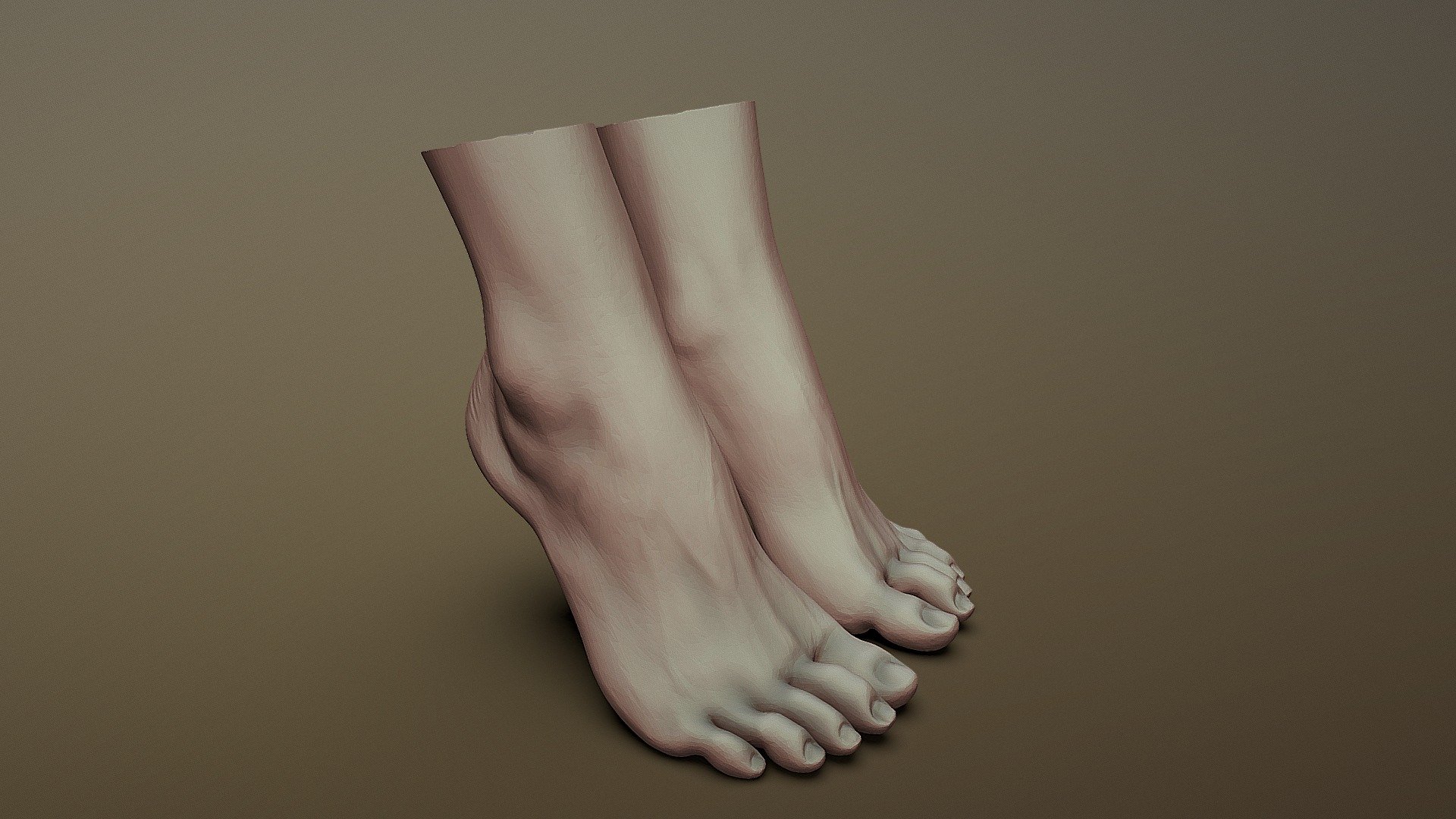Female Foot 3 3D Model By Sept 12342423534 f360bce Sketchfab
