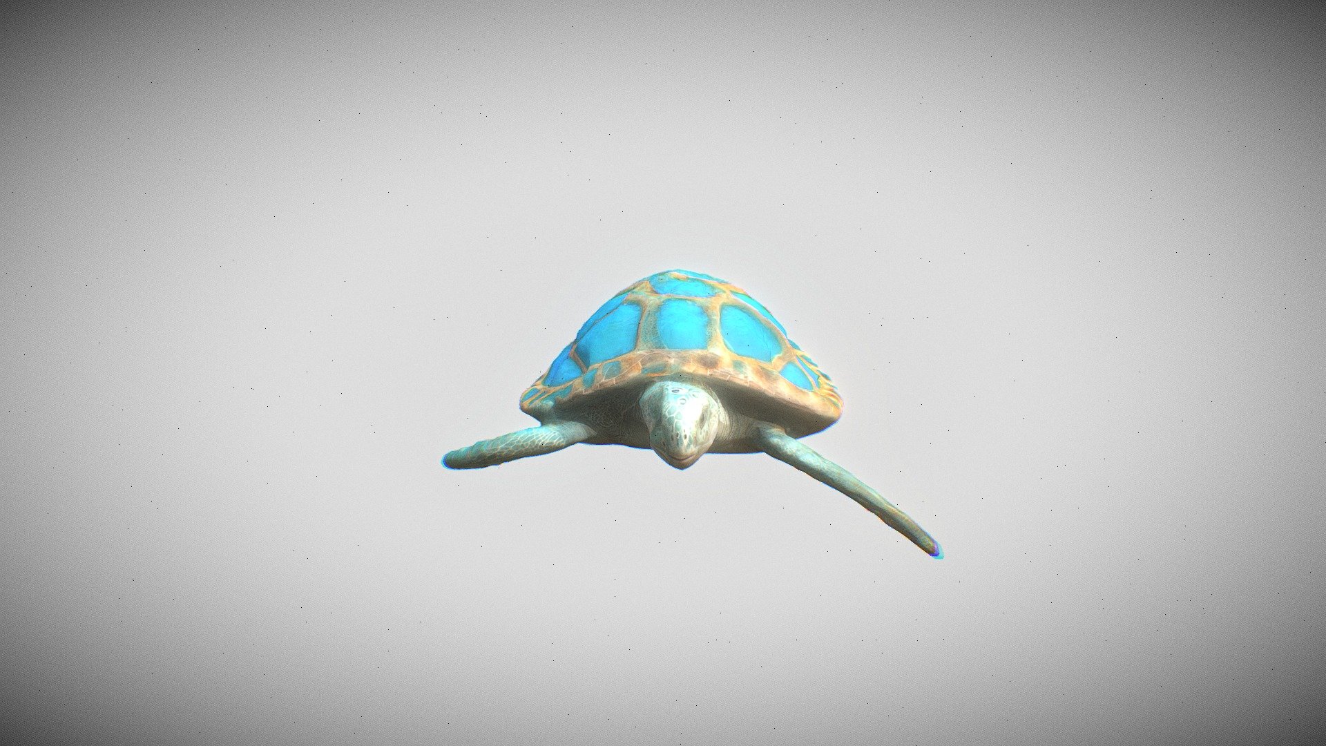 Tortuga_marina_0607002929_refine - 3D model by georgina.jimenez ...