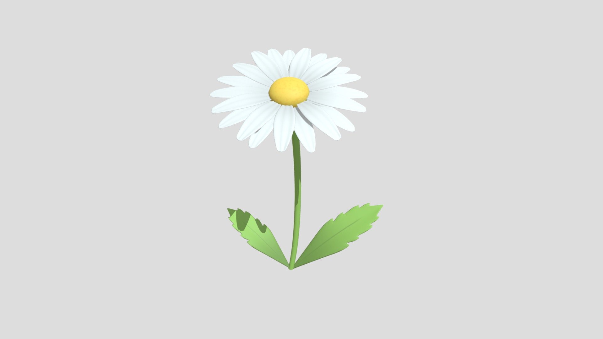 Daisy Flower - Buy Royalty Free 3D model by Ed+ (@EDplus) [f36e74b ...