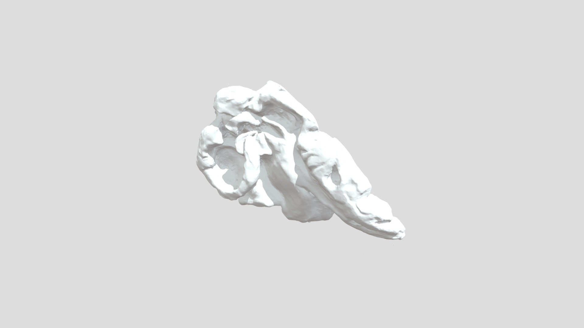 Popcorn Kernel - 3D model by jakeweigel [f37203b] - Sketchfab