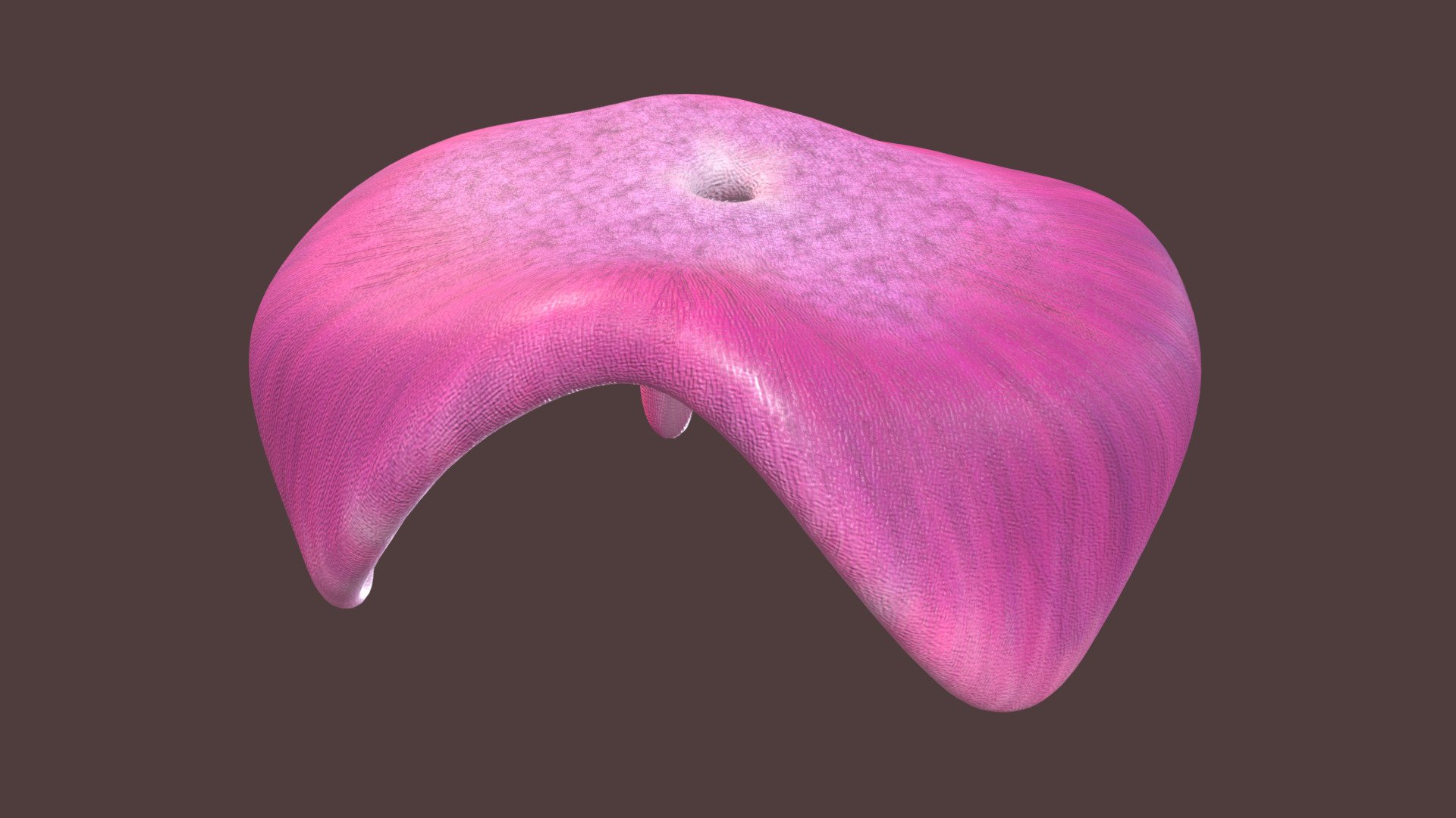 Diaphragm - 3D model by maumilo2 [f376615] - Sketchfab