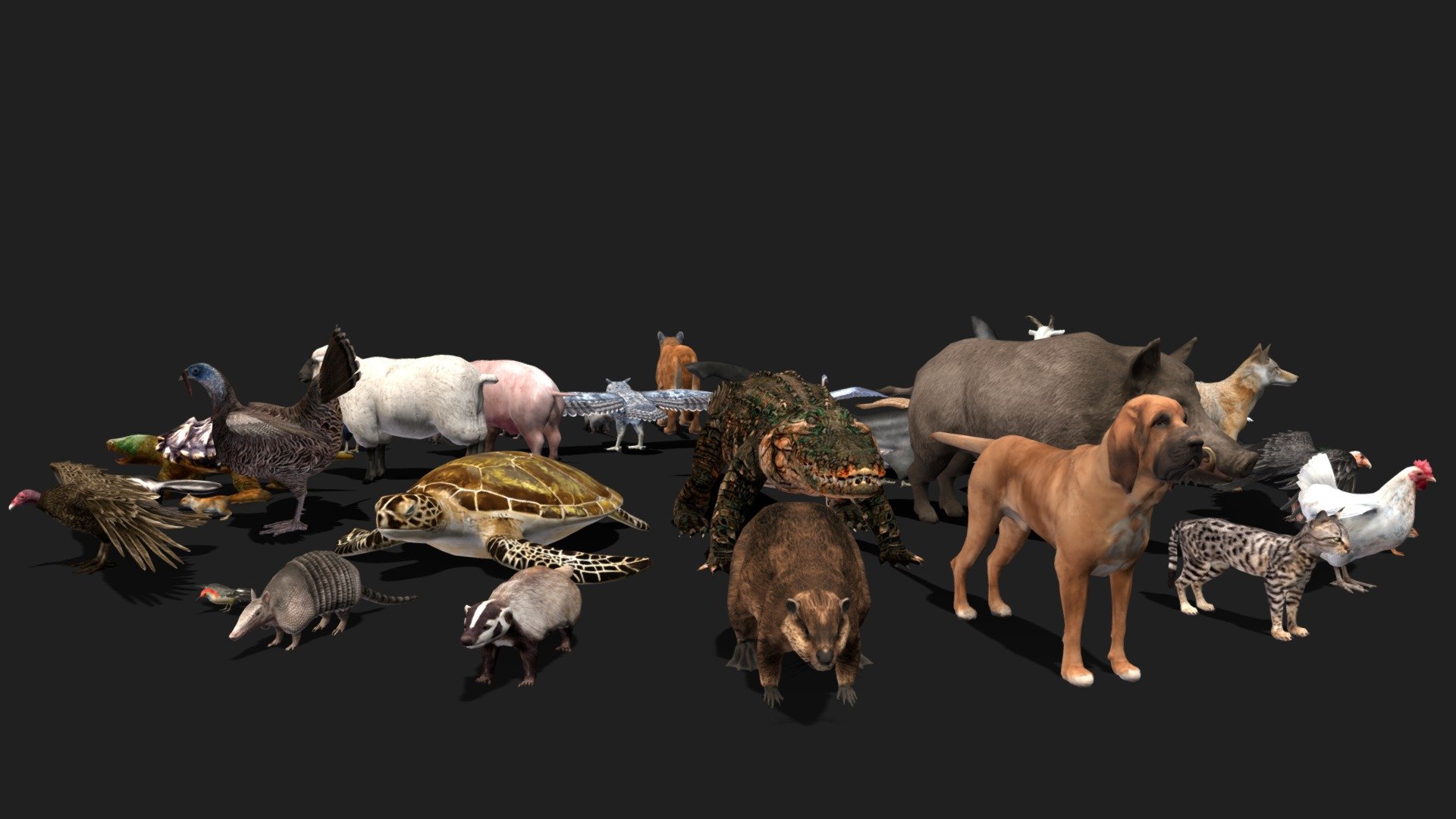 Realistic Animals SMALL PACK - 3D model by WildMesh 3D (@WildMesh_3D ...