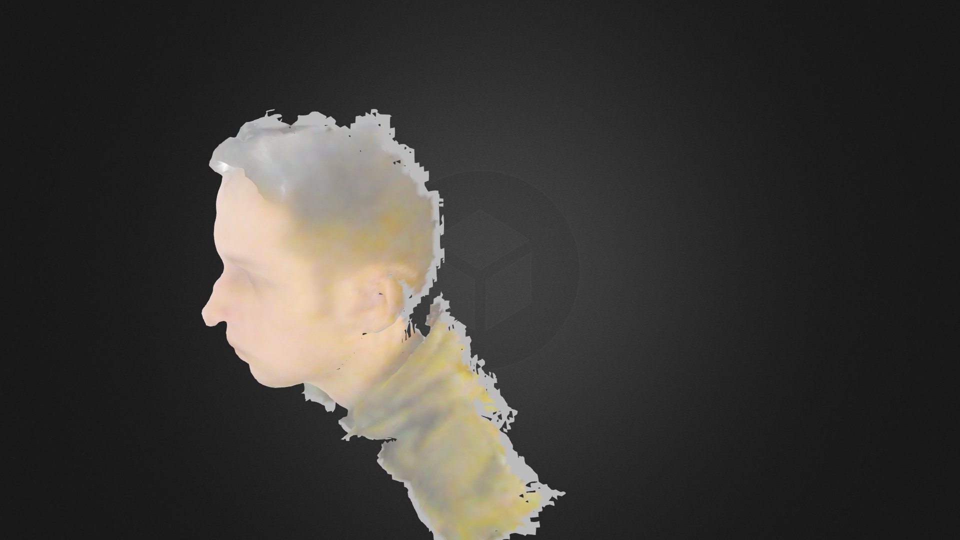 My_new_scan - 3D model by MaciekKarwas [f379f30] - Sketchfab