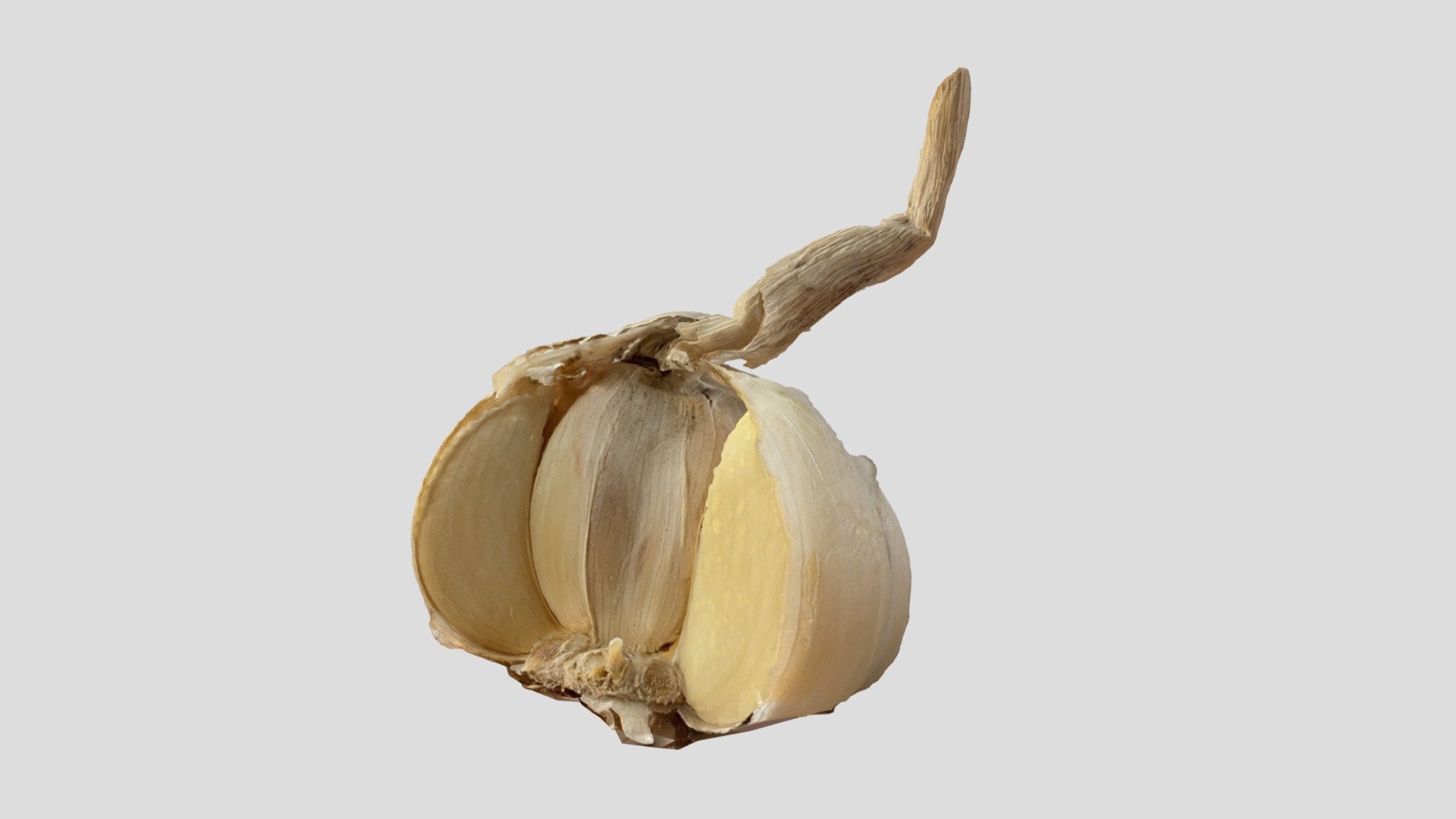 Garlic - Download Free 3D model by jaso.emilia [f37b447] - Sketchfab