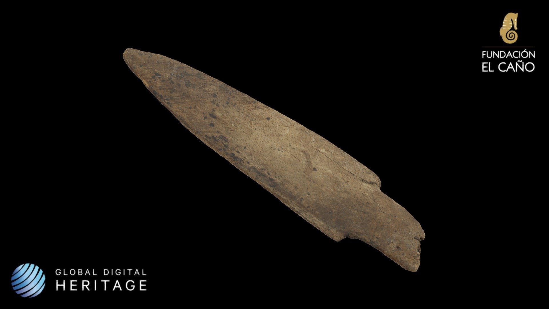 Azagaya made with sawfish tooth, El Caño, Panama - Download Free 3D ...