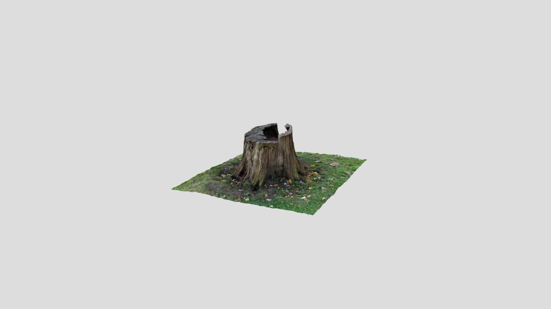 Tree stump - Download Free 3D model by Cymru_hero [f386b70] - Sketchfab