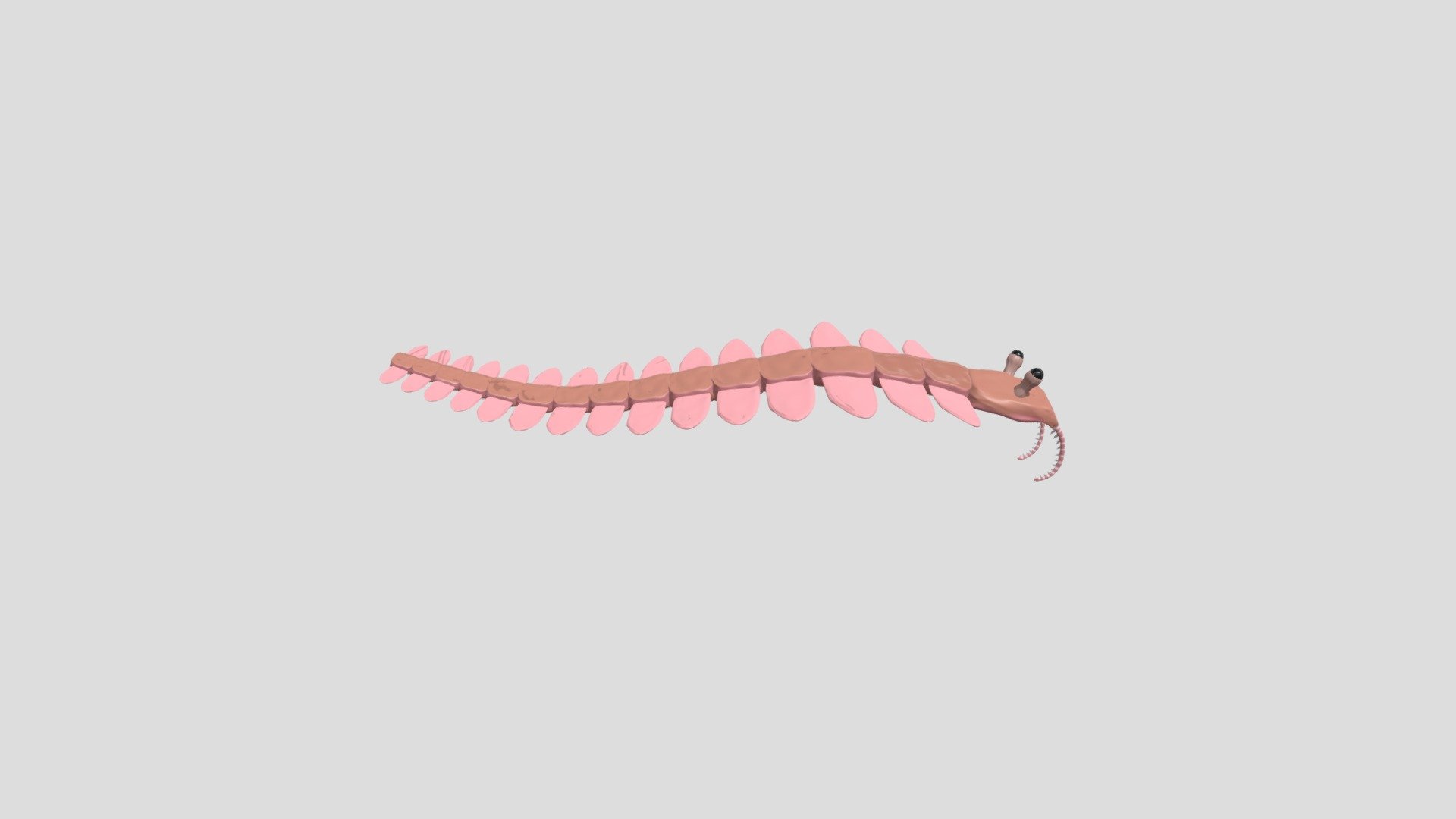 Anomalocaris - 3D model by Briansgames [f38bd6d] - Sketchfab