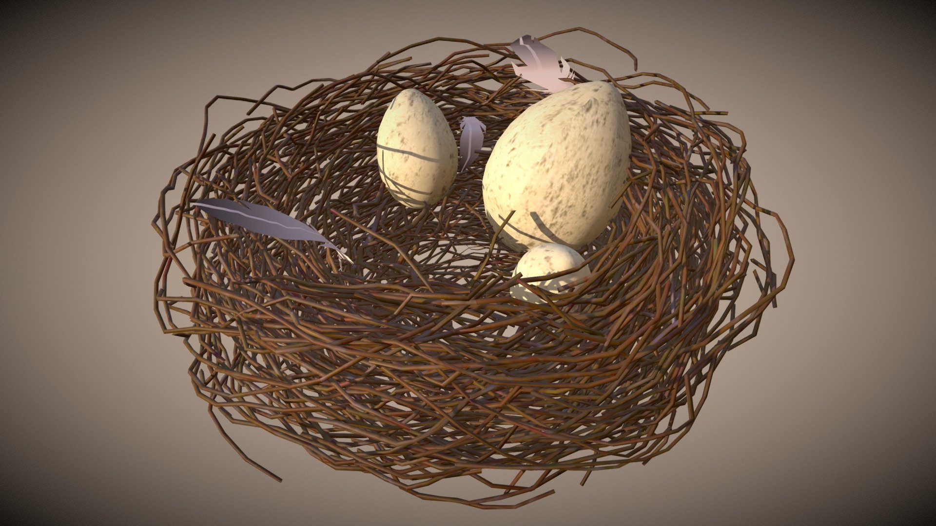 Bird Nest - 3D model by si_302 [f3983b8] - Sketchfab
