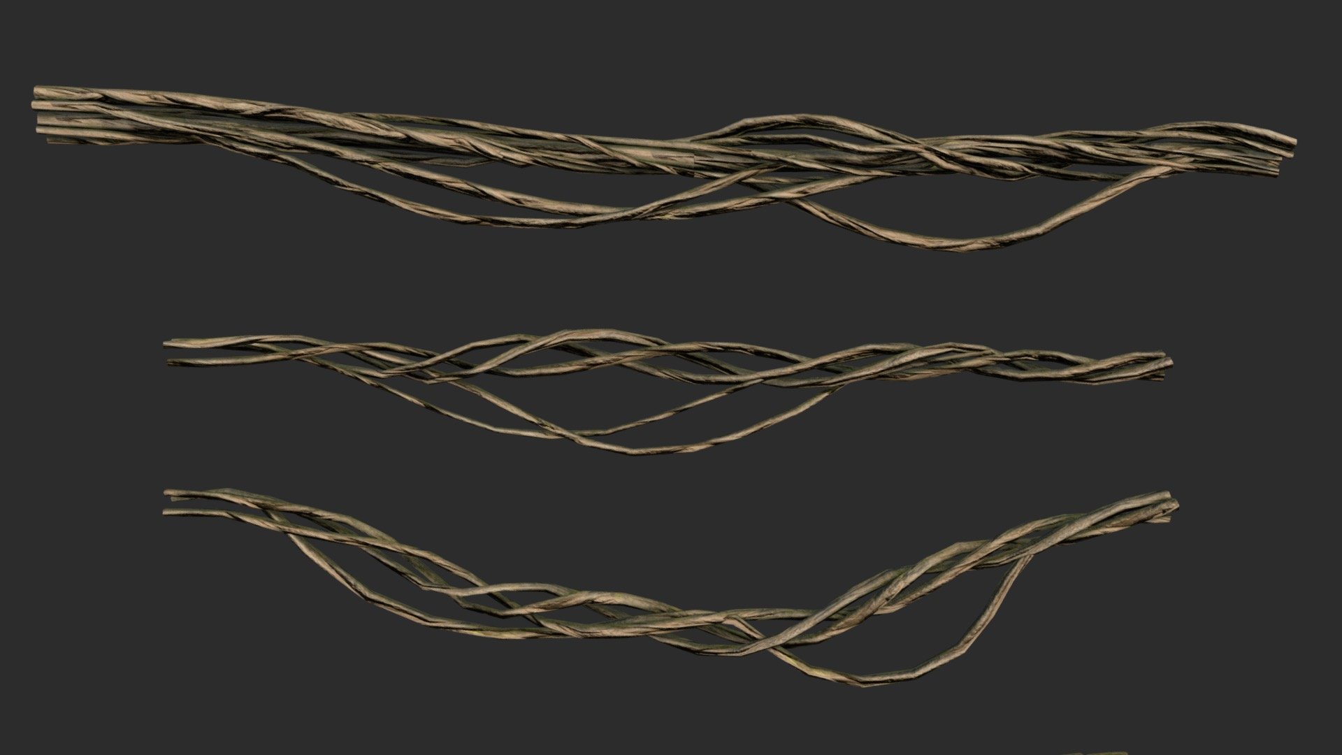Root braided Vines Set - Buy Royalty Free 3D model by KangaroOz 3D ...