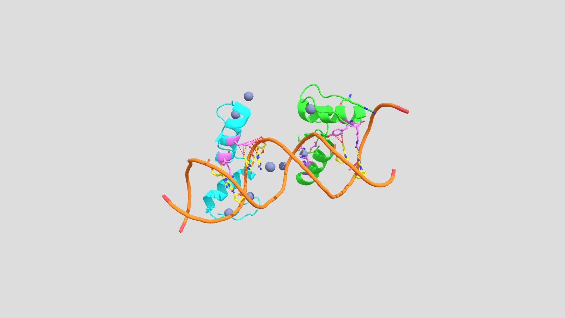 pymol molecule ZF217_F67 - 3D model by nmah5152 [f3a8d5b] - Sketchfab