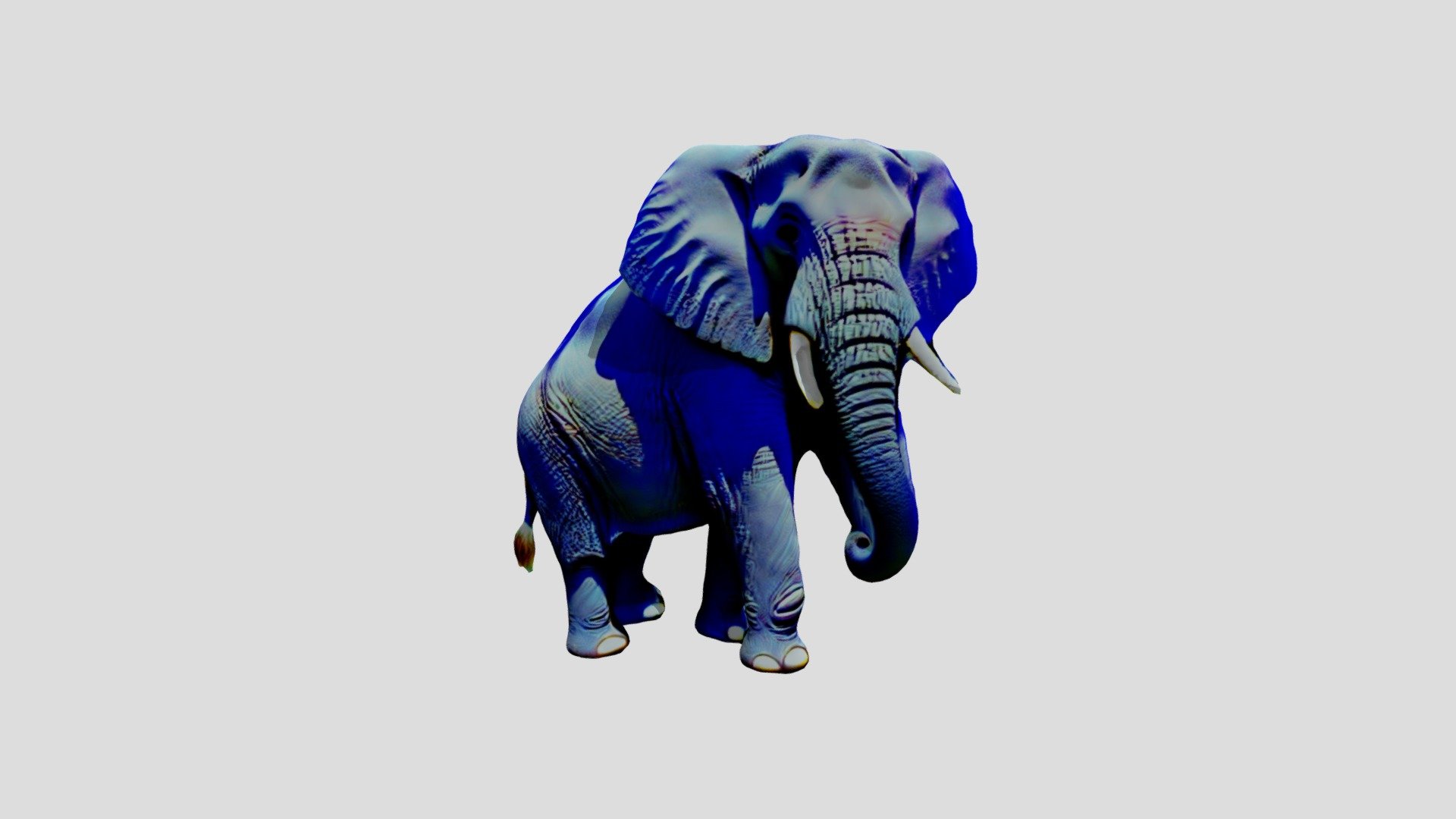 elephant - Download Free 3D model by gekaitenti [f3ac01f] - Sketchfab