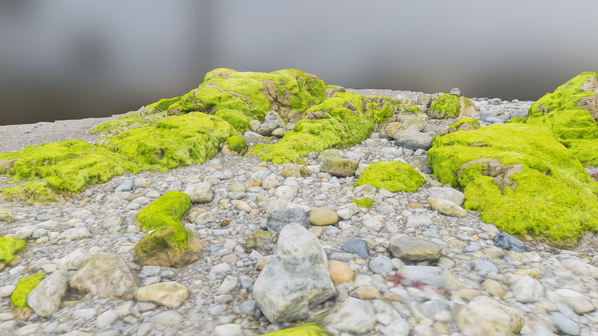 Mossy beach rocks patch scan - Buy Royalty Free 3D model by Miguel ...