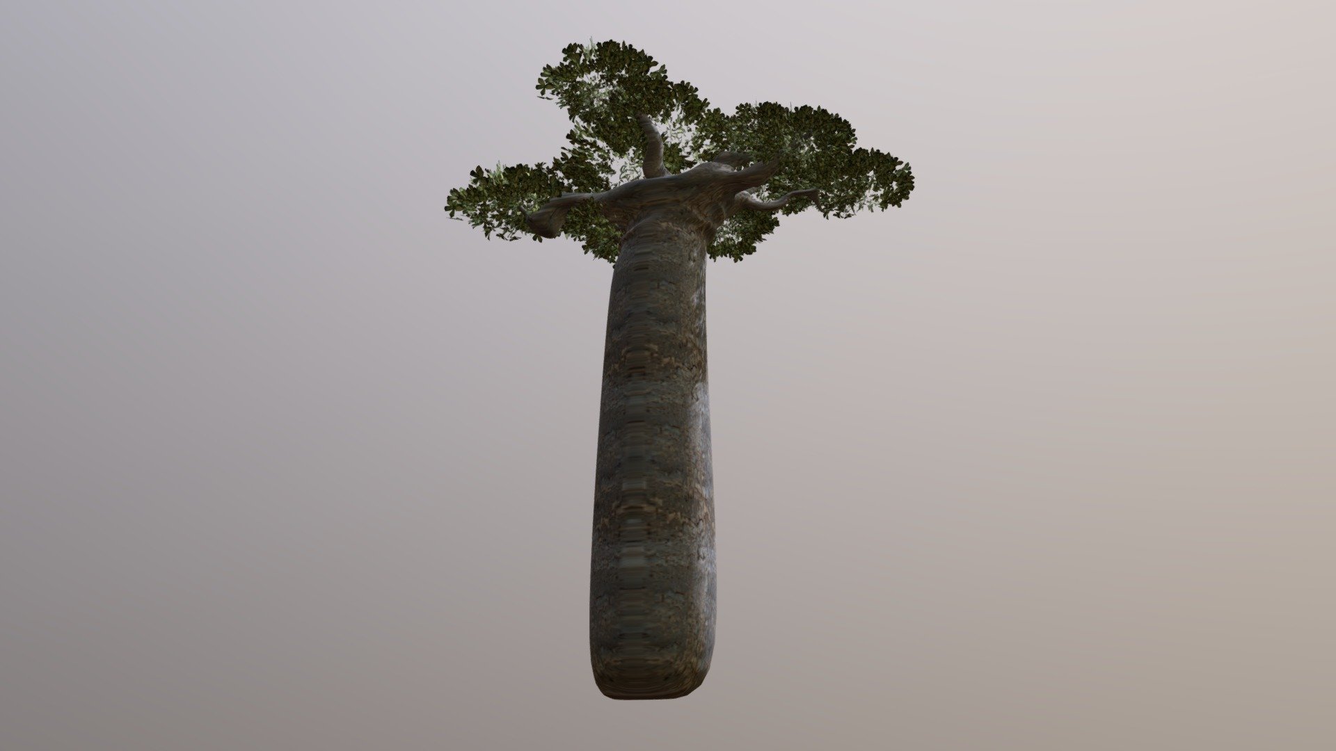 Realistic Baobab Tree - Download Free 3D model by pighunt3r15 [f3bb8b2] - Sketchfab
