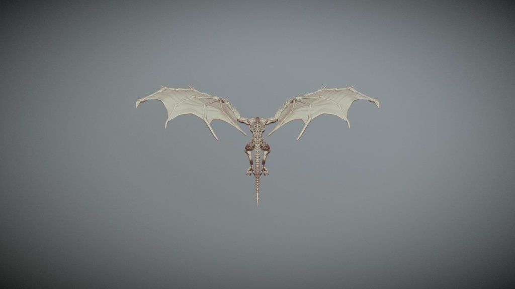 dragon_test - 3D model by AkumoSeo [f3c7105] - Sketchfab