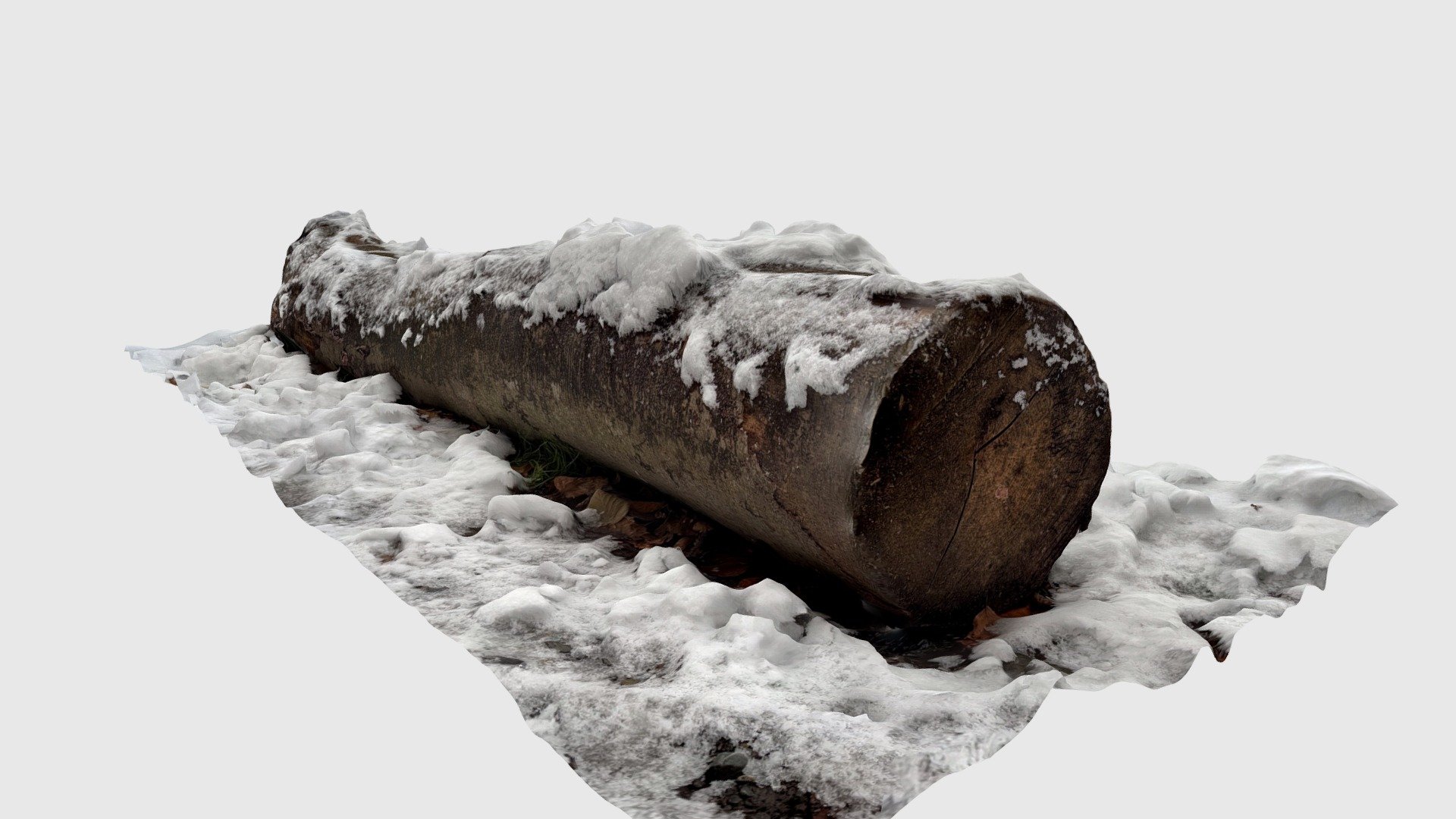 Wood Trunk With Snow 01 - RAW Scan - Buy Royalty Free 3D model by ...