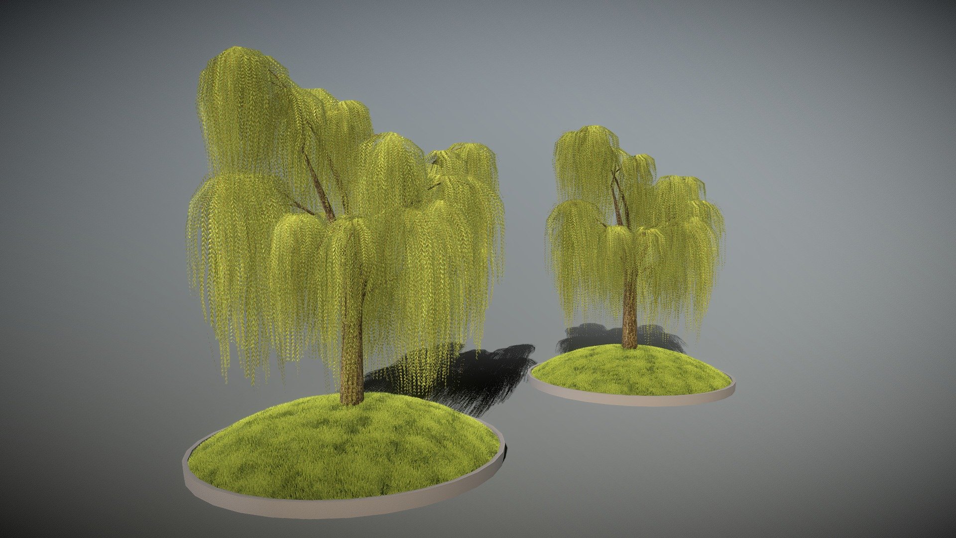 Low-Poly Silver Willow Version 6 - Buy Royalty Free 3D model by VIS-All ...