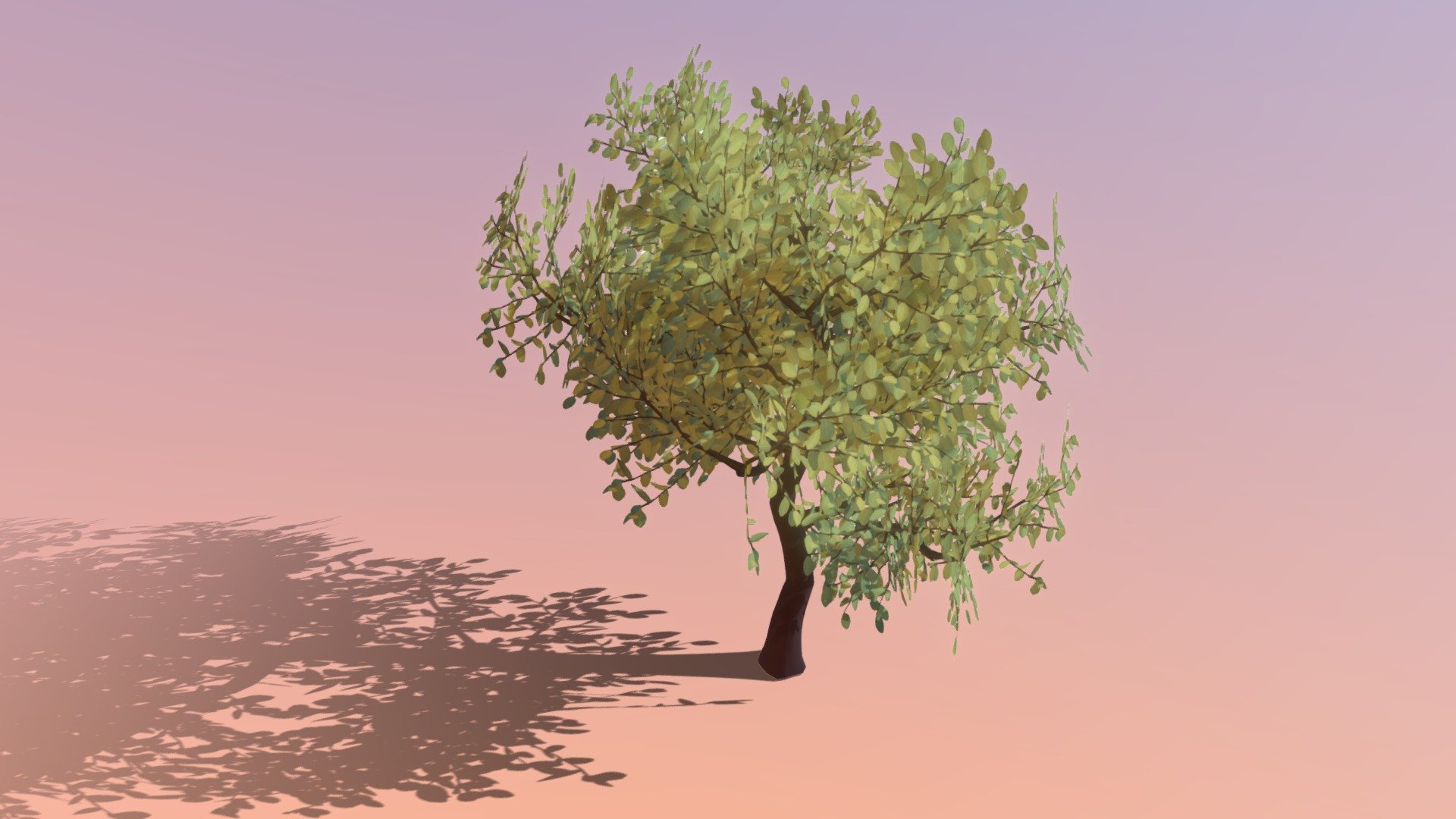 Tree - 3D model by 6050854gbmc [f3da8dc] - Sketchfab