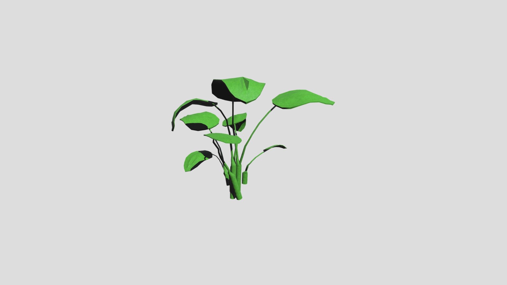 Plant - 3D model by mikevandoom [f3e398b] - Sketchfab