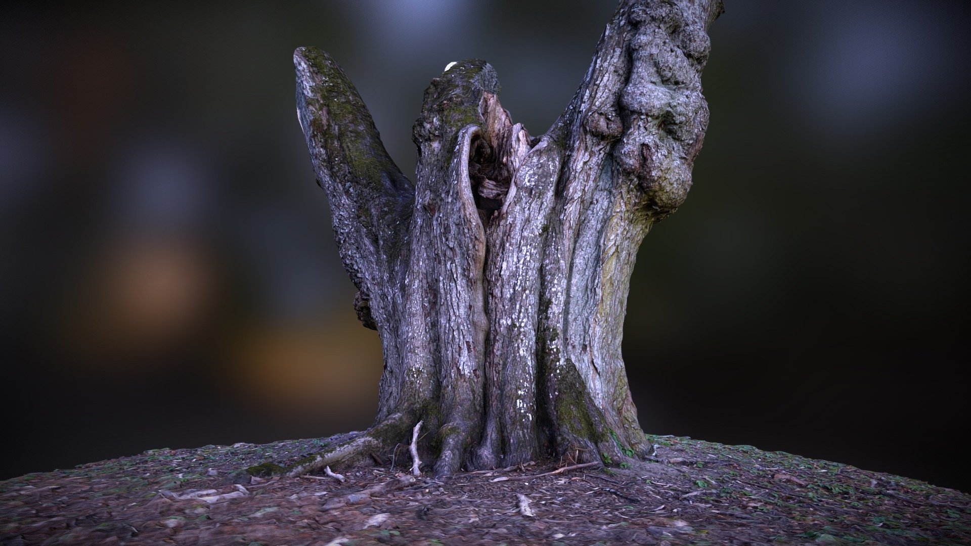 Tree Old - 3D model by Andy Marcinkowski (@AndyMar) [f3ee491] - Sketchfab