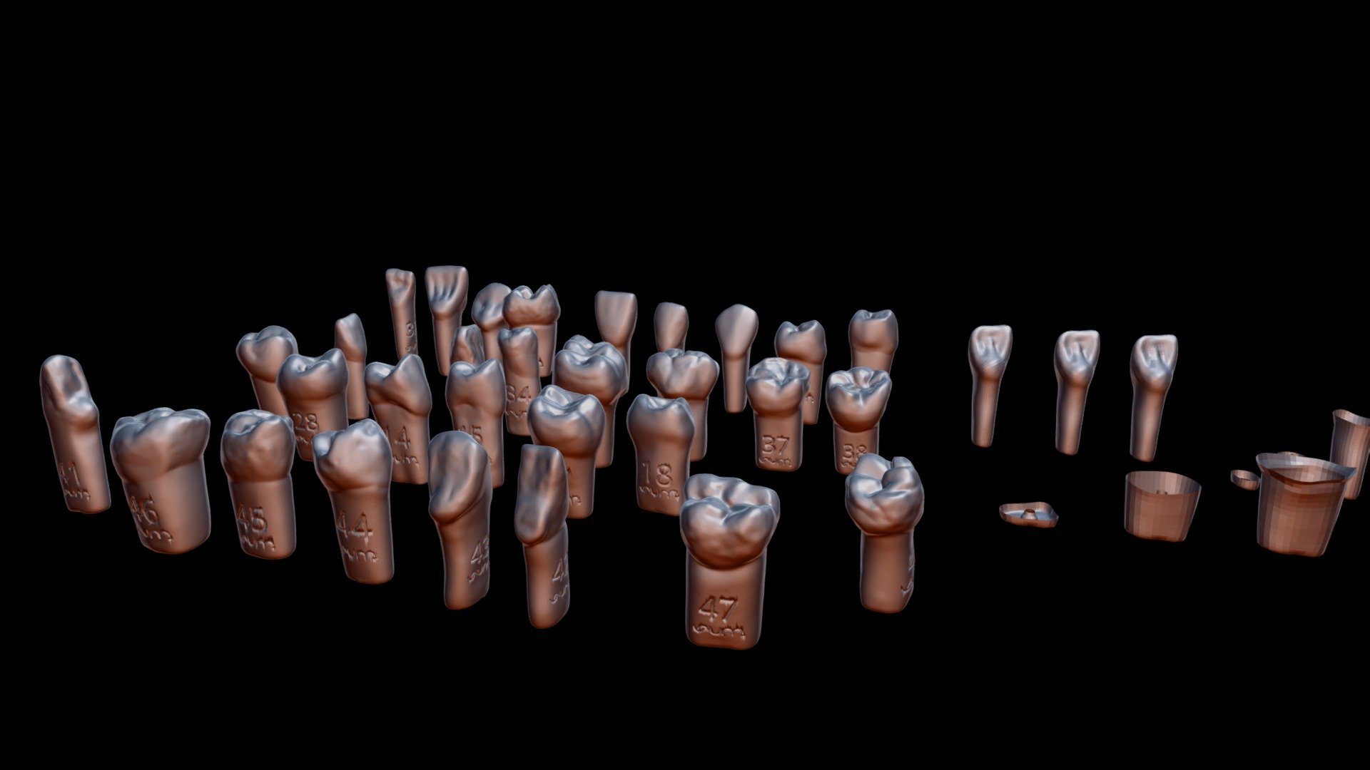 wszystkie zeby - 3D model by zuryfix.com (@zuryfix) [f3f1b1c] - Sketchfab