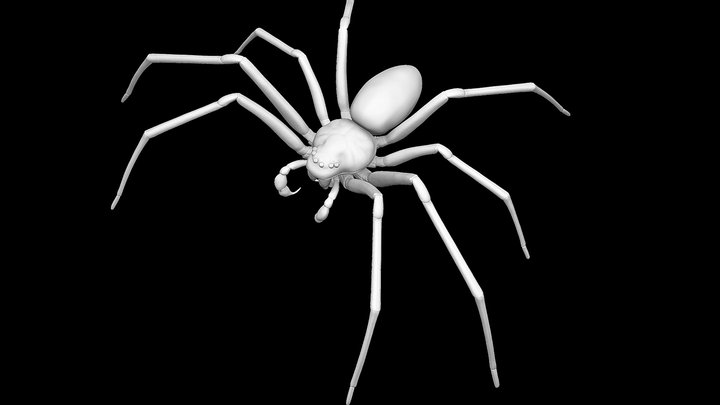 Spider 3D models - Sketchfab