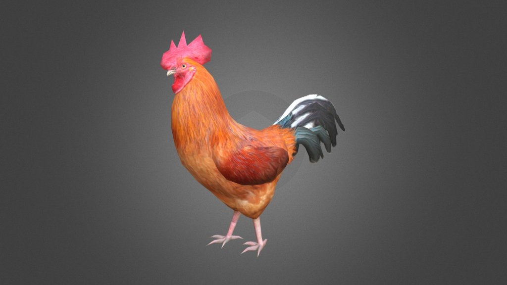 Rooster - 3D model by RedDeer (@billl90) [f40ac92] - Sketchfab
