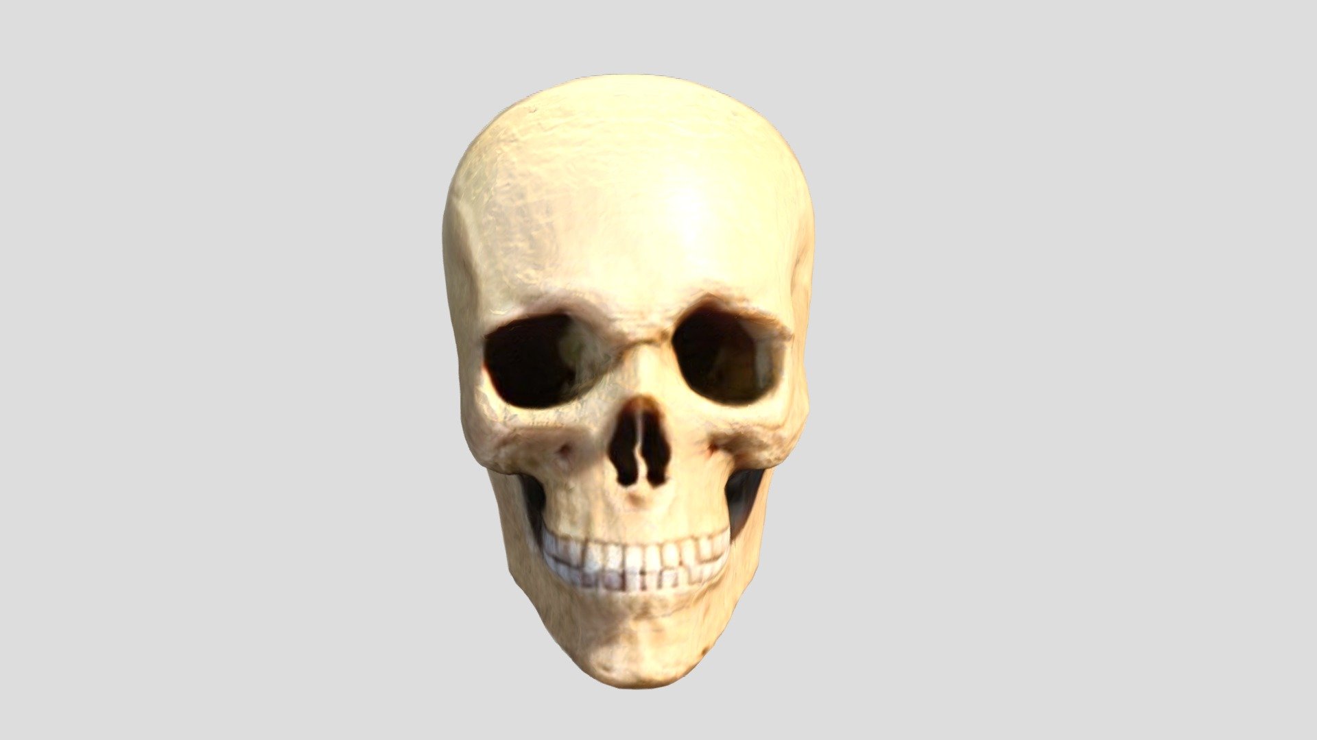 Skull Mask - Download Free 3D model by Gaming Assets (@gamingassets ...