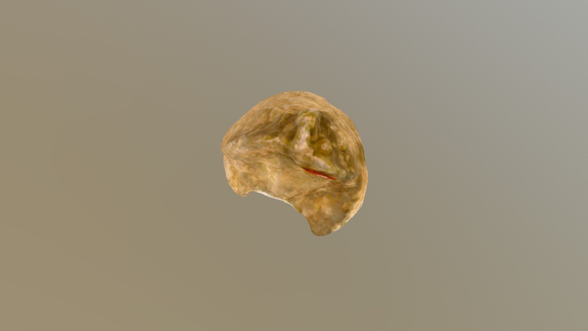 Fossil Sample 7 - 3D model by Queen's University Geodesy and Geophysics ...