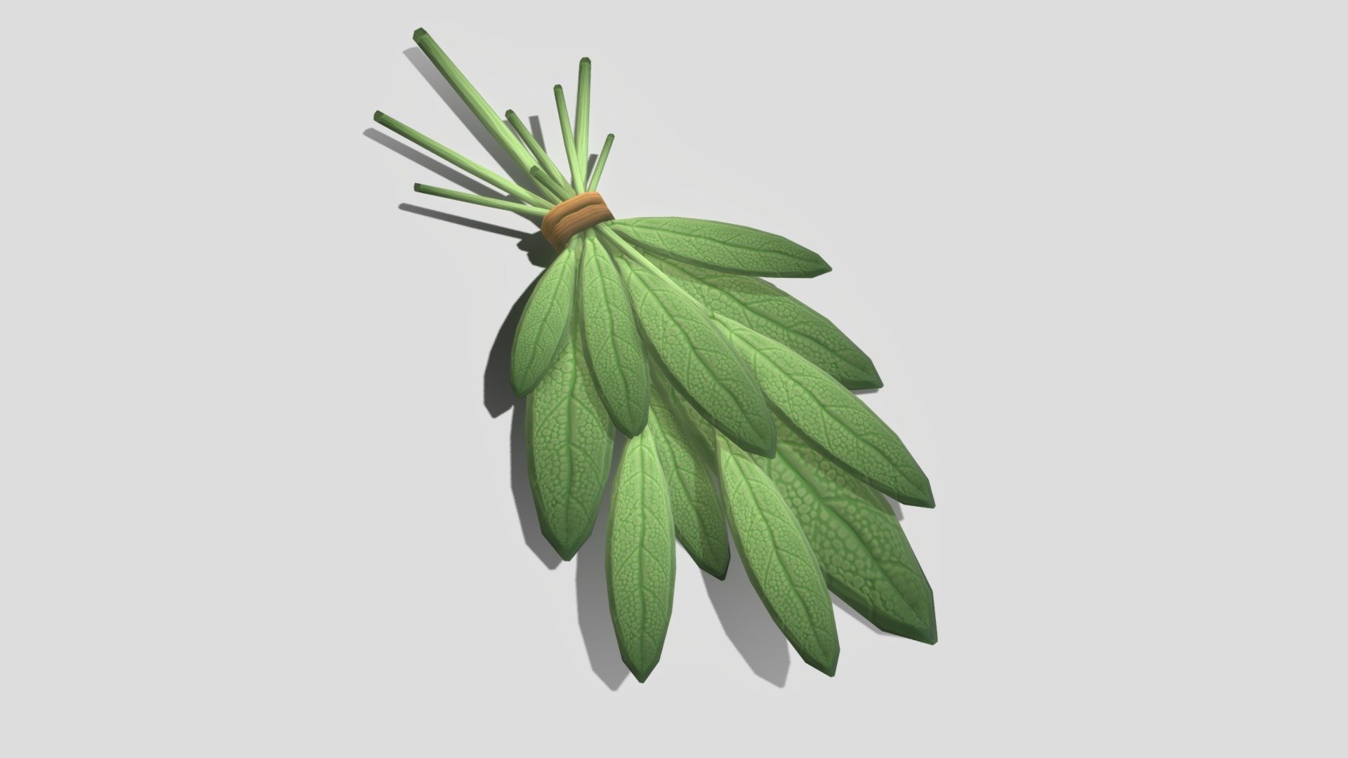 Sage - Buy Royalty Free 3D model by enyagerber [f41f028] - Sketchfab Store