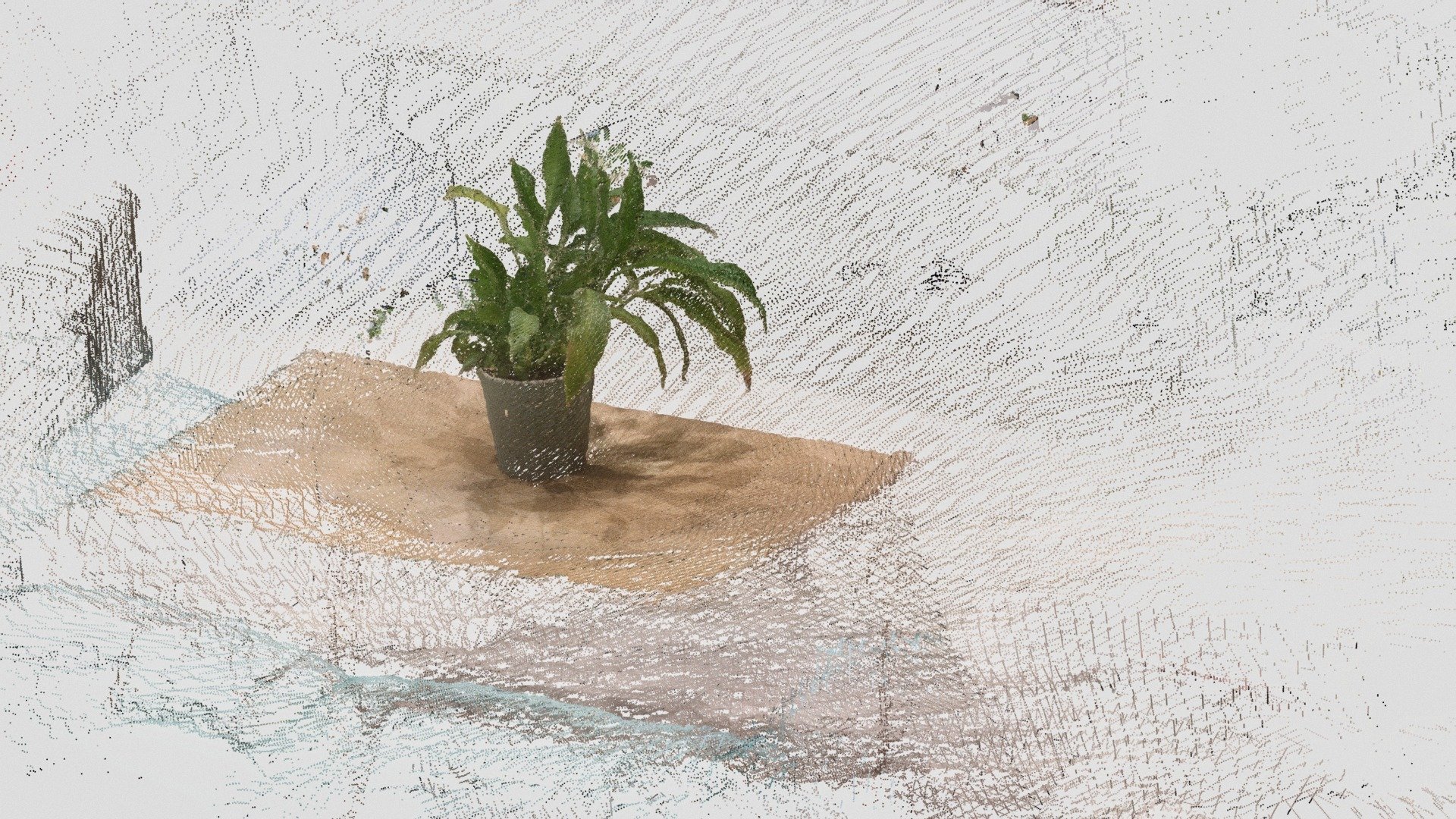 Plant_point_cloud - 3D model by alexplayer [f420cde] - Sketchfab
