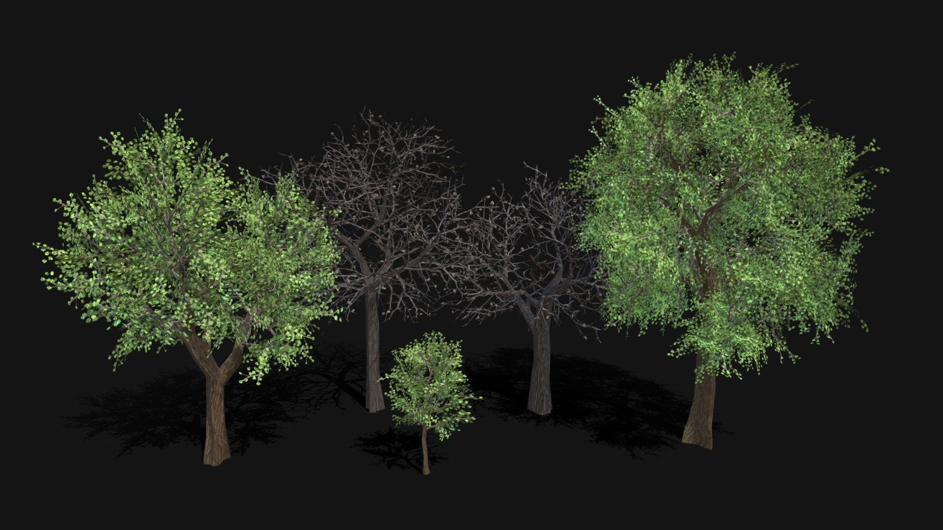 Trees LowPoly - Buy Royalty Free 3D model by Xylla [f421643 ...