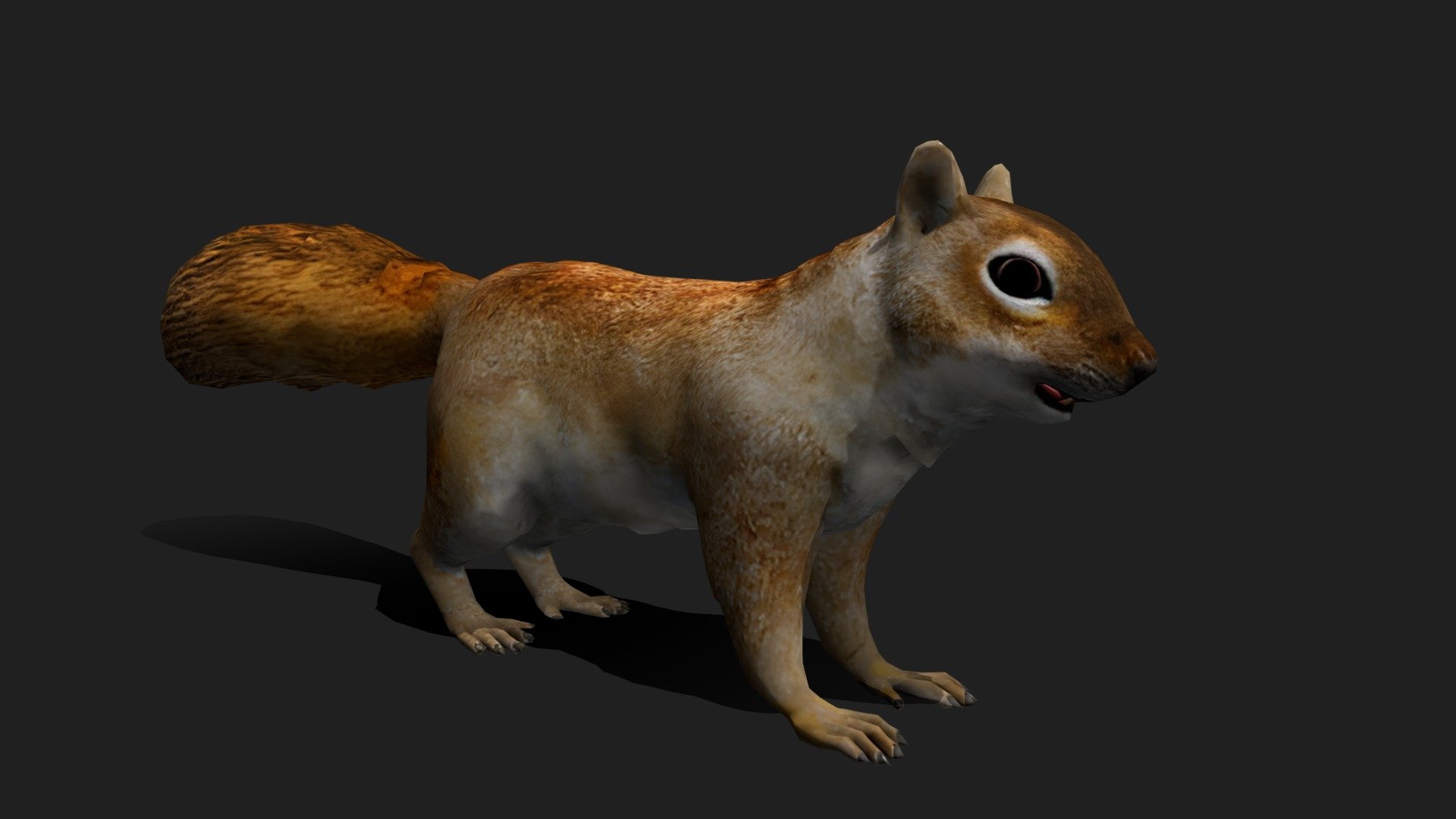 Realistic Squirrel 3D Model - 3D model by WildMesh 3D (@WildMesh_3D) [f4237da] - Sketchfab