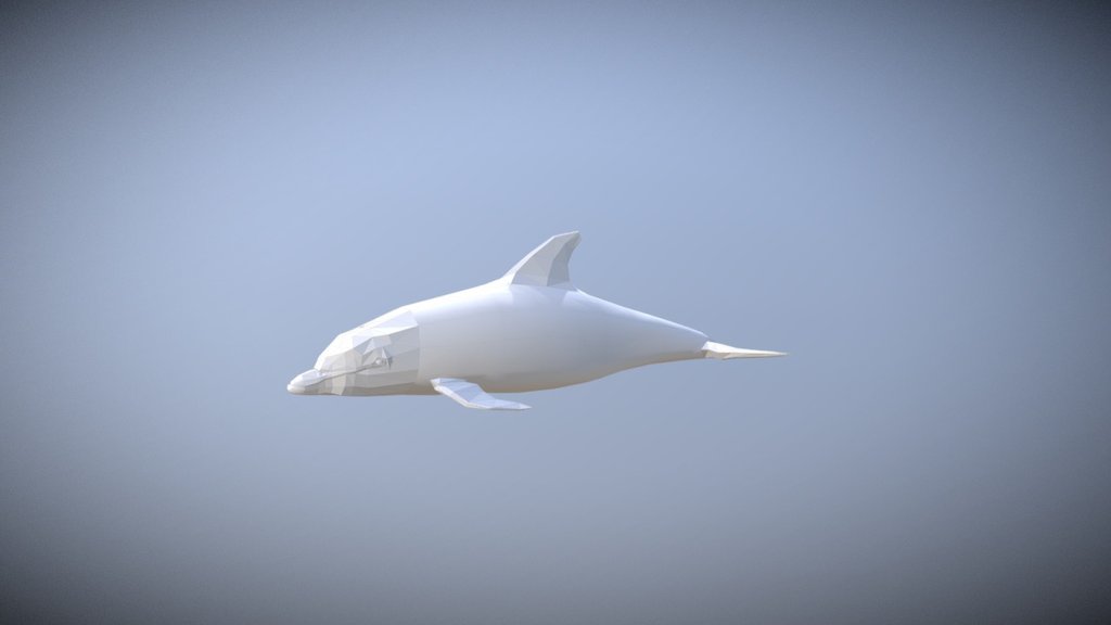 Dolphin model - Download Free 3D model by Sky4gj [f428757] - Sketchfab