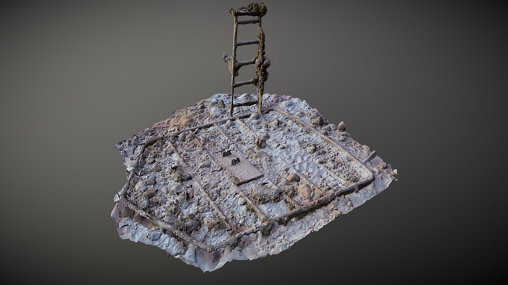 Yellow Rose - 3D model by Bradley Tulip-Mills (@bradflowerz) [f430292 ...