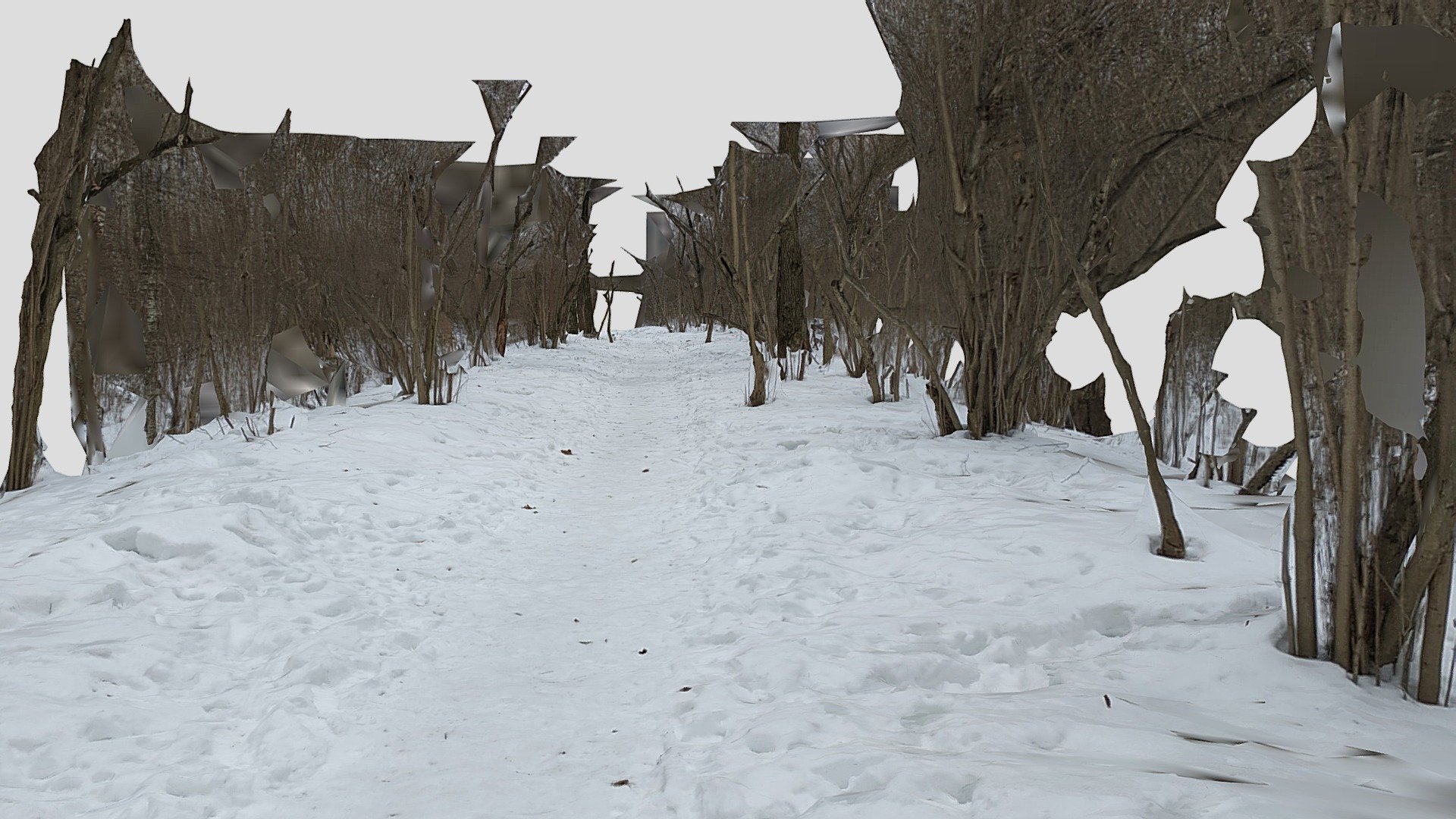 Forest trail - Download Free 3D model by Neo_minigan (@neominigan ...